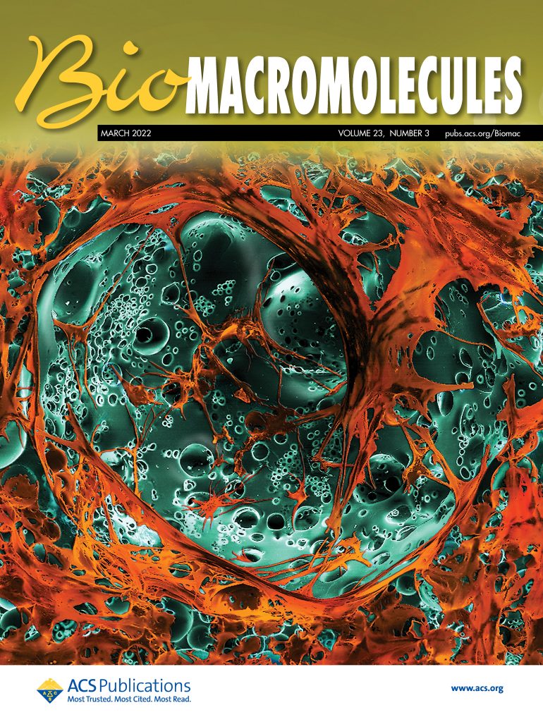 Bölümümüz öğretim elemanlarından Dr. Betül Aldemir Dikici’nin ...